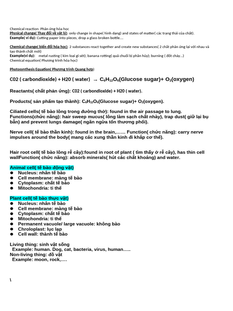 C02 (Carbondioxide) + H20 (Water) | PDF