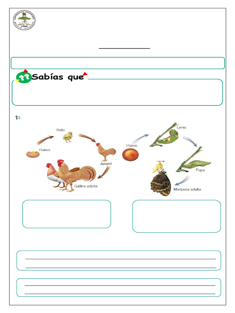 Ciclo de La Vida | PDF | Organismos | Biología