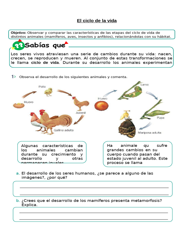 Ciclo de La Vida | PDF
