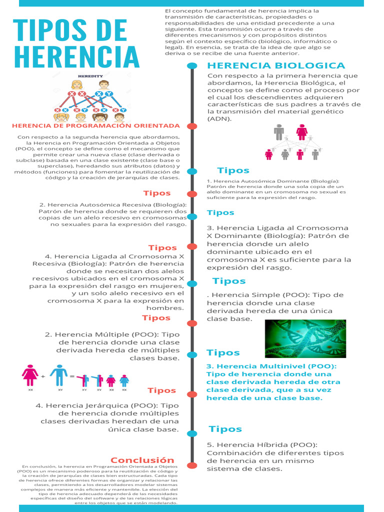 Tipos de Herencia | PDF | Herencia (Programación Orientada a Objetos ...
