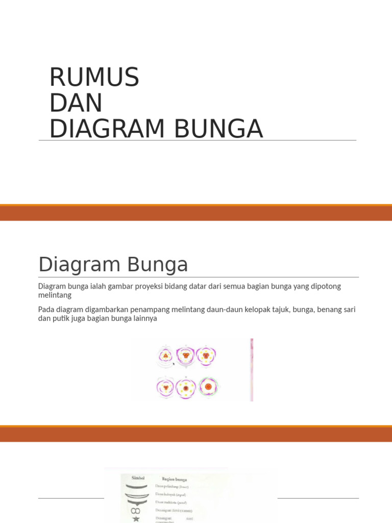 Diagram Bunga | PDF