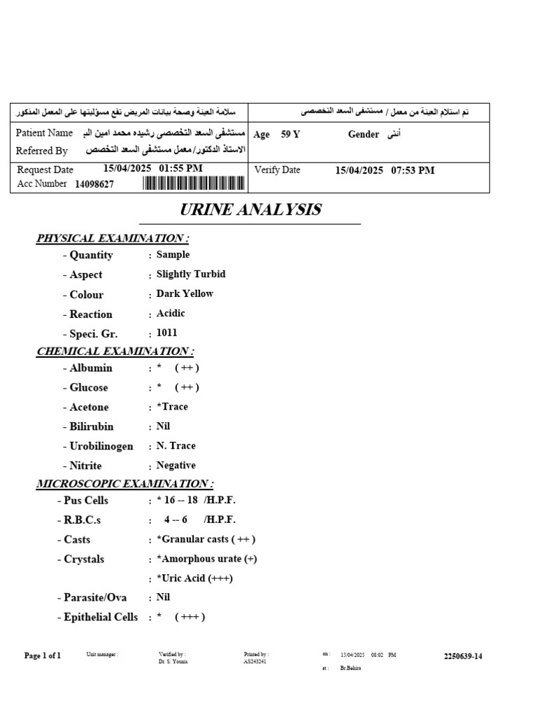 Urine Analysis Report - 15/04/2025 | PDF