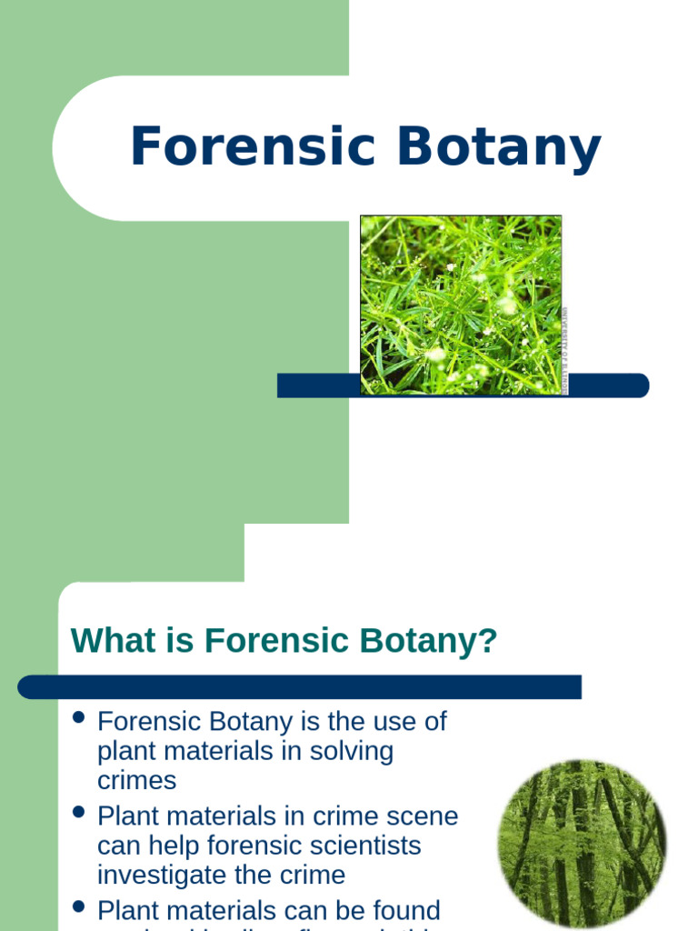 LEC 10 Forensic - Botany | PDF | Forensic Science | Crime Scene