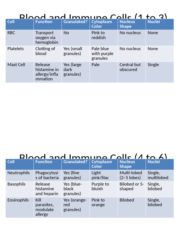Blood and Immune Cells 3 Per Slide | PDF | Clinical Medicine | Immunology