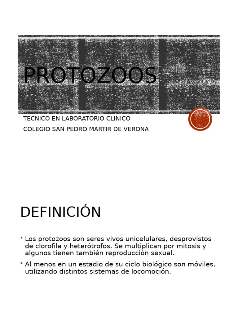 Protozoos | PDF | Citoplasma | Nucleo celular