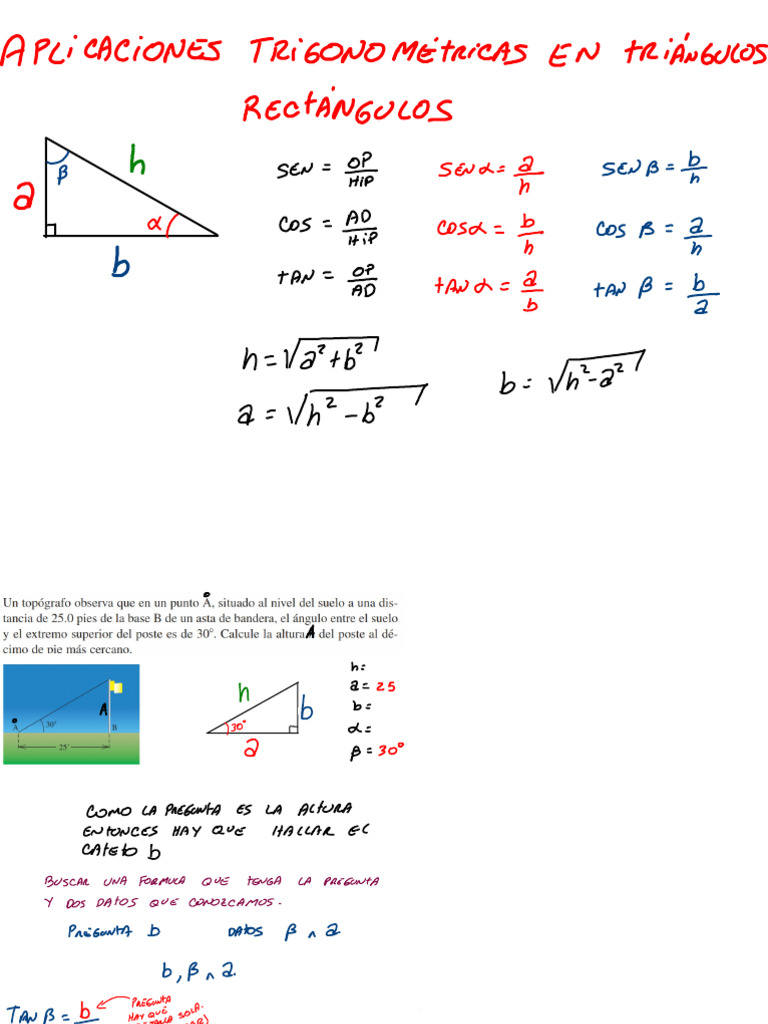 Trigo 060424 | PDF | Tierra | Pie (unidad)
