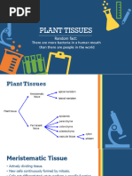 Plant Tissues Notes | PDF | Tissue (Biology) | Plant Stem