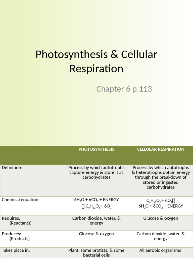 Photosynthesis Cellular Respiration | PDF