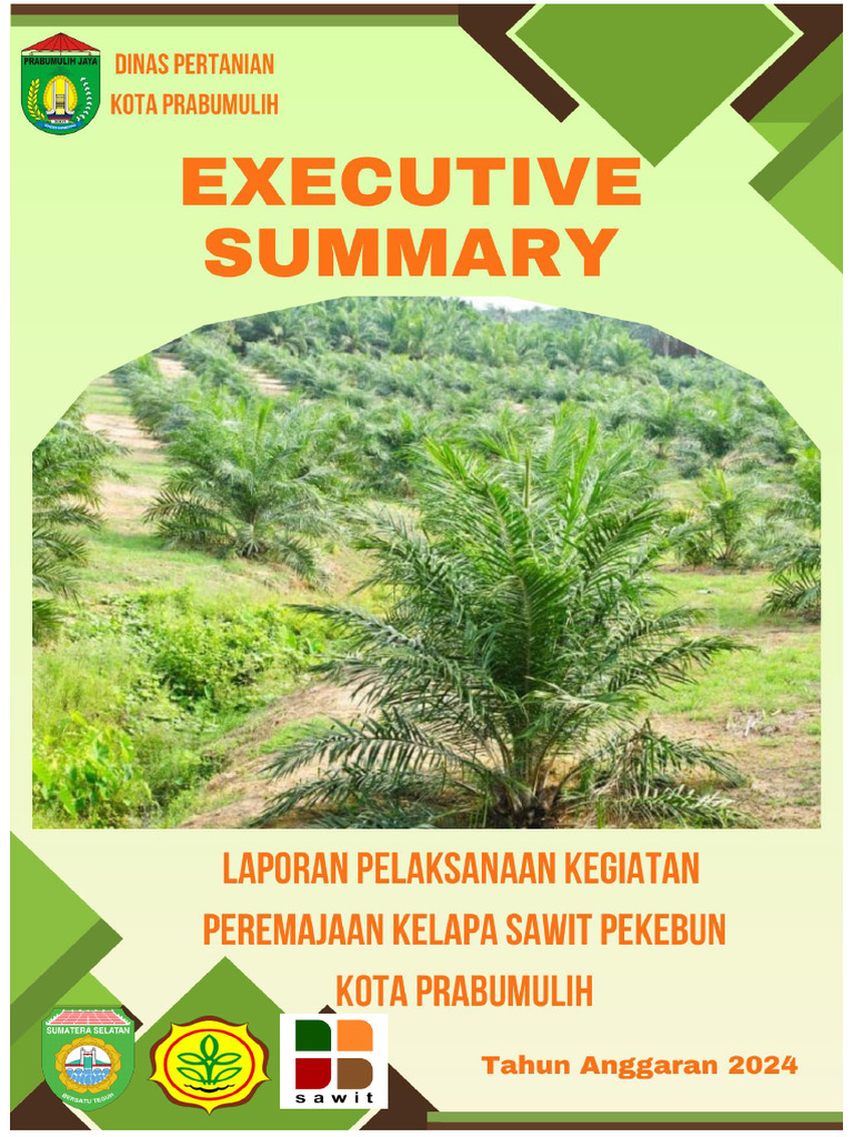 EXEKUTIF SUMARY 2024 | PDF