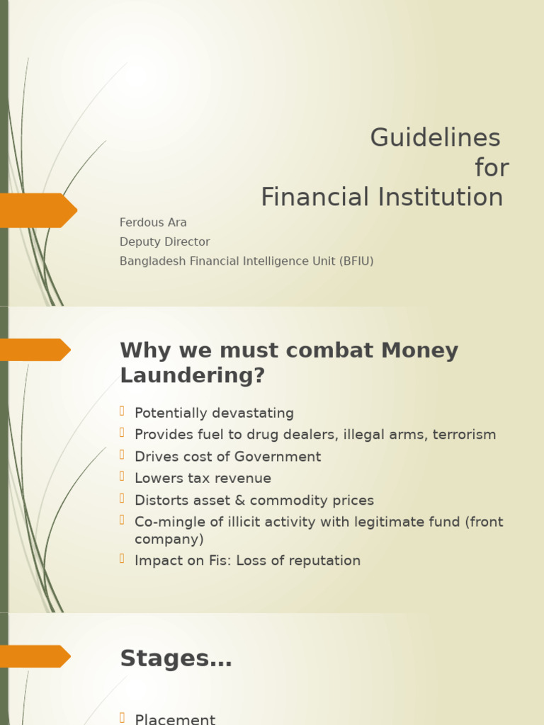 Guidelines For FIs-1 | PDF | Regulatory Compliance | Business