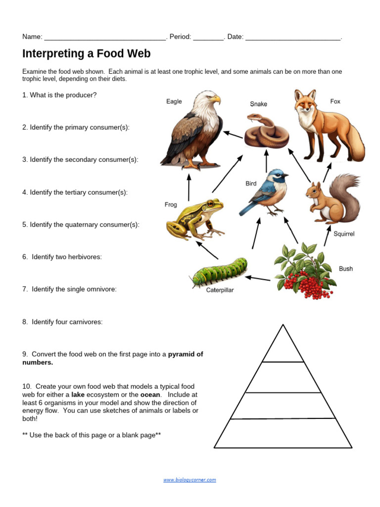 Analyzing Food Web Dynamics | PDF