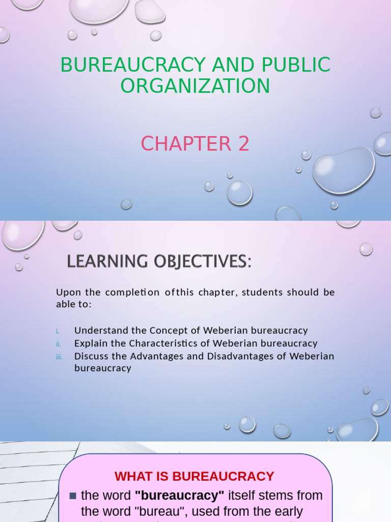 Chapter 2 - Bereaucracy and Public Organization | PDF | Bureaucracy ...