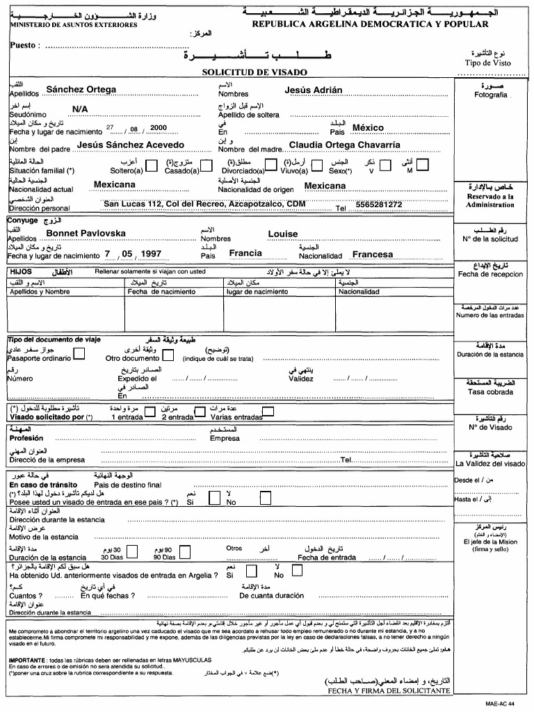 Formato Solicitud Visa | PDF