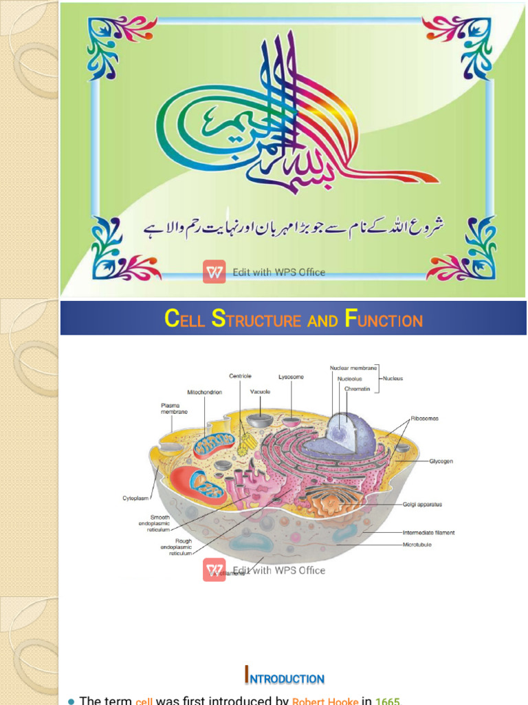 Cell Structure and Function Overview | PDF | Endoplasmic Reticulum ...
