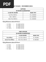 SAFA Ramp Inspection Checklist 2024 | PDF | Aviation | Aviation Safety