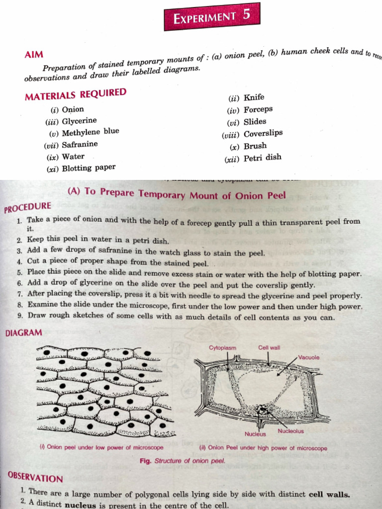 Biology STD 9 Expt No. 1. (22 Jun 2023) | PDF | Biology | Cell Biology