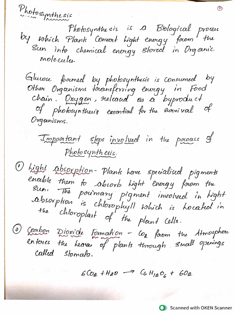 Biology Module 4 | PDF