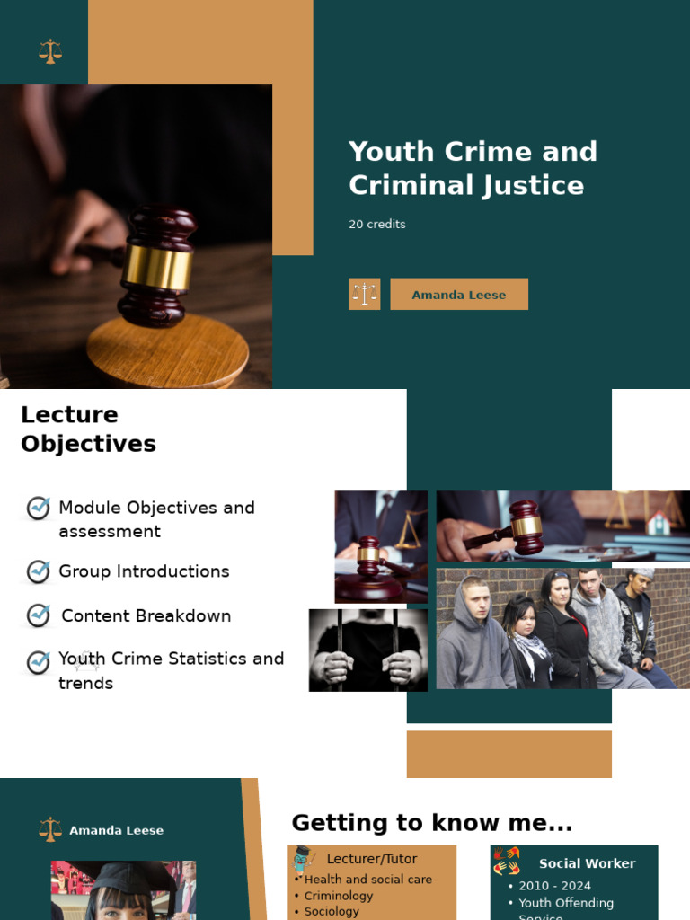 Youth Crime and Justice Overview | PDF | Crimes | Crime & Violence