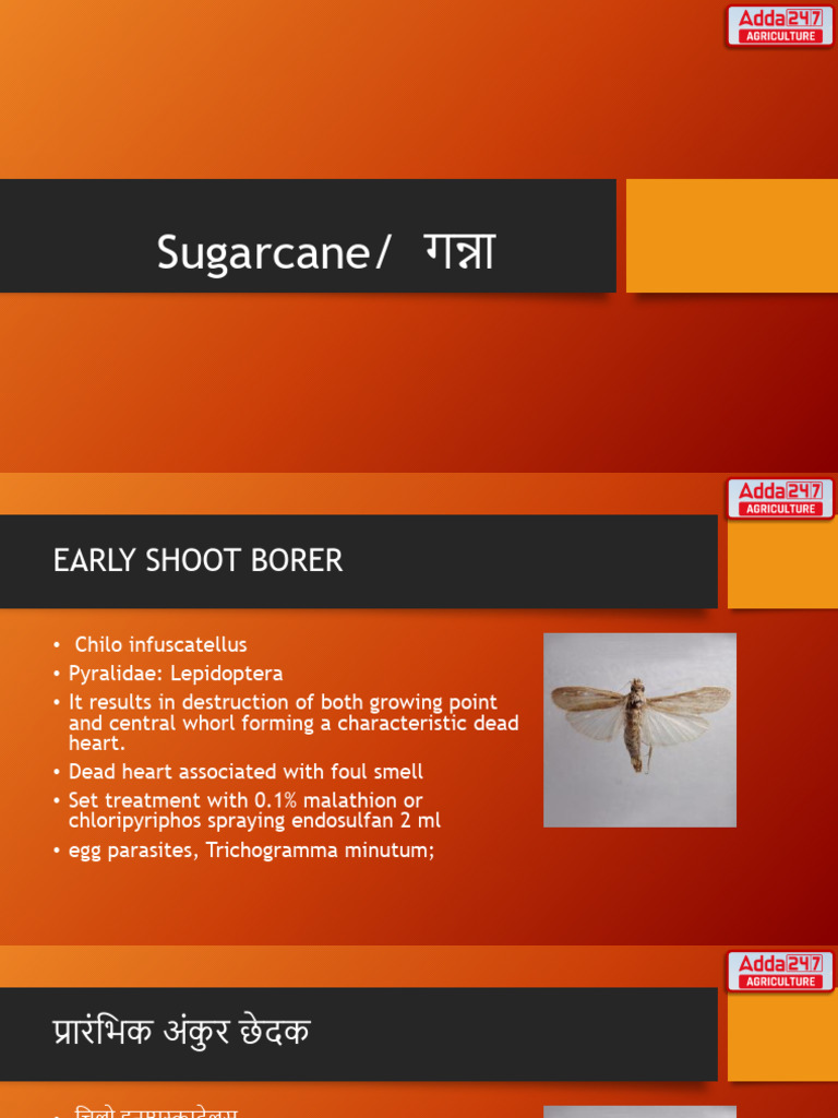 Practice Paper 1 | PDF