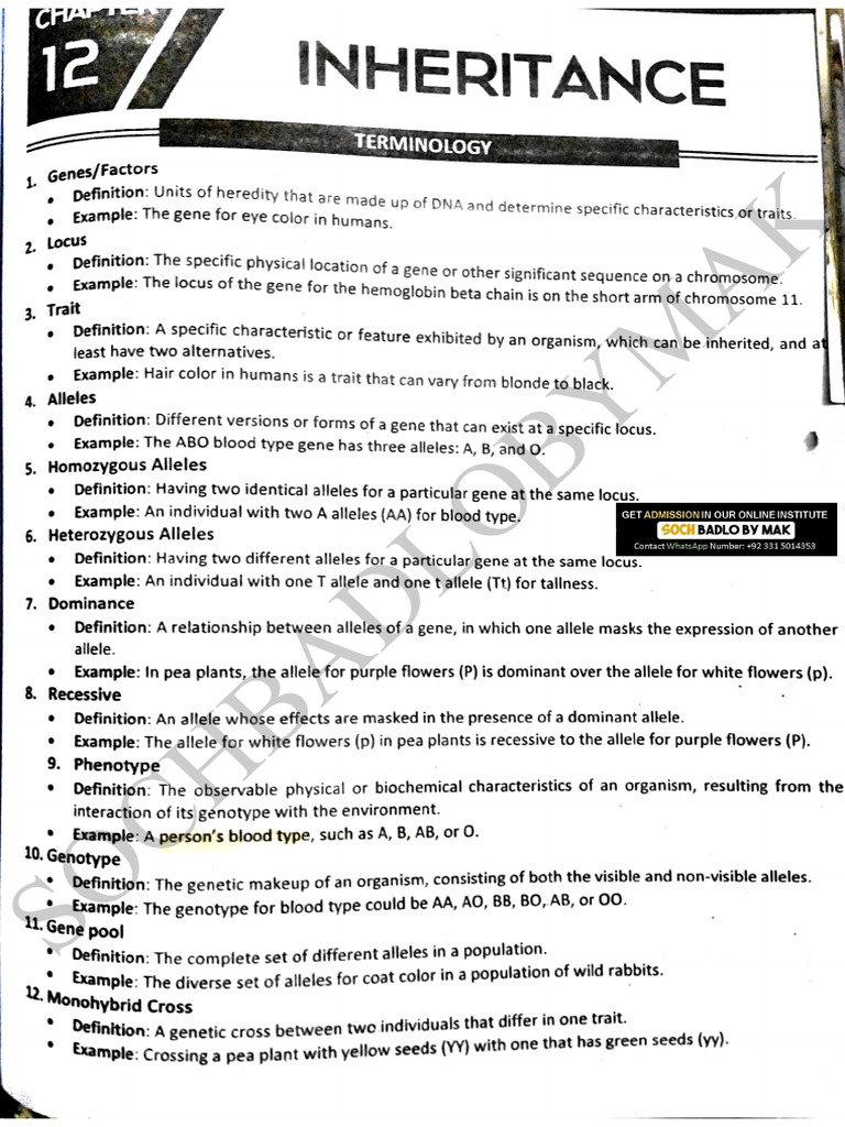 Ch.12 Inheritance by Arisha | PDF