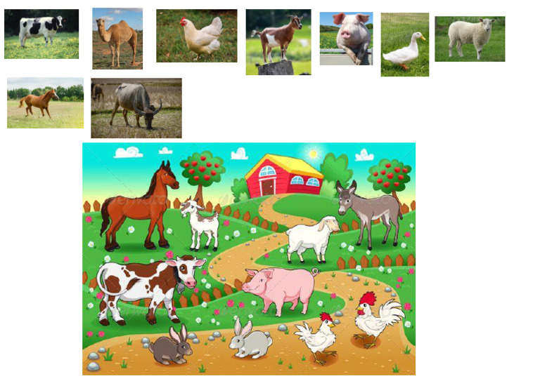 Farm Animals | PDF
