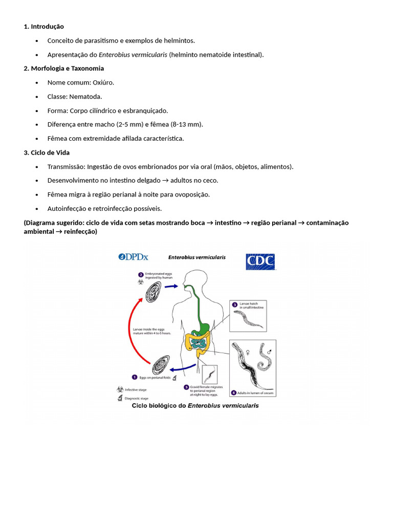 Enterobius Vermicularis | PDF