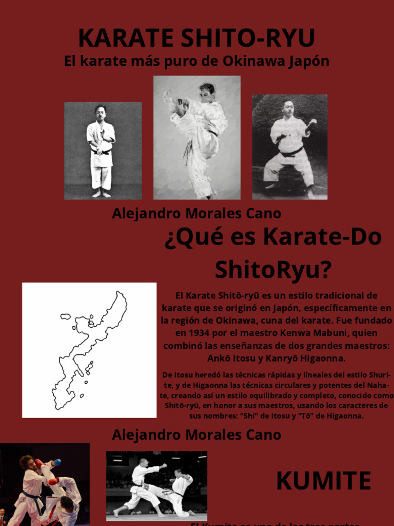 Karate Shito-Ryu | PDF