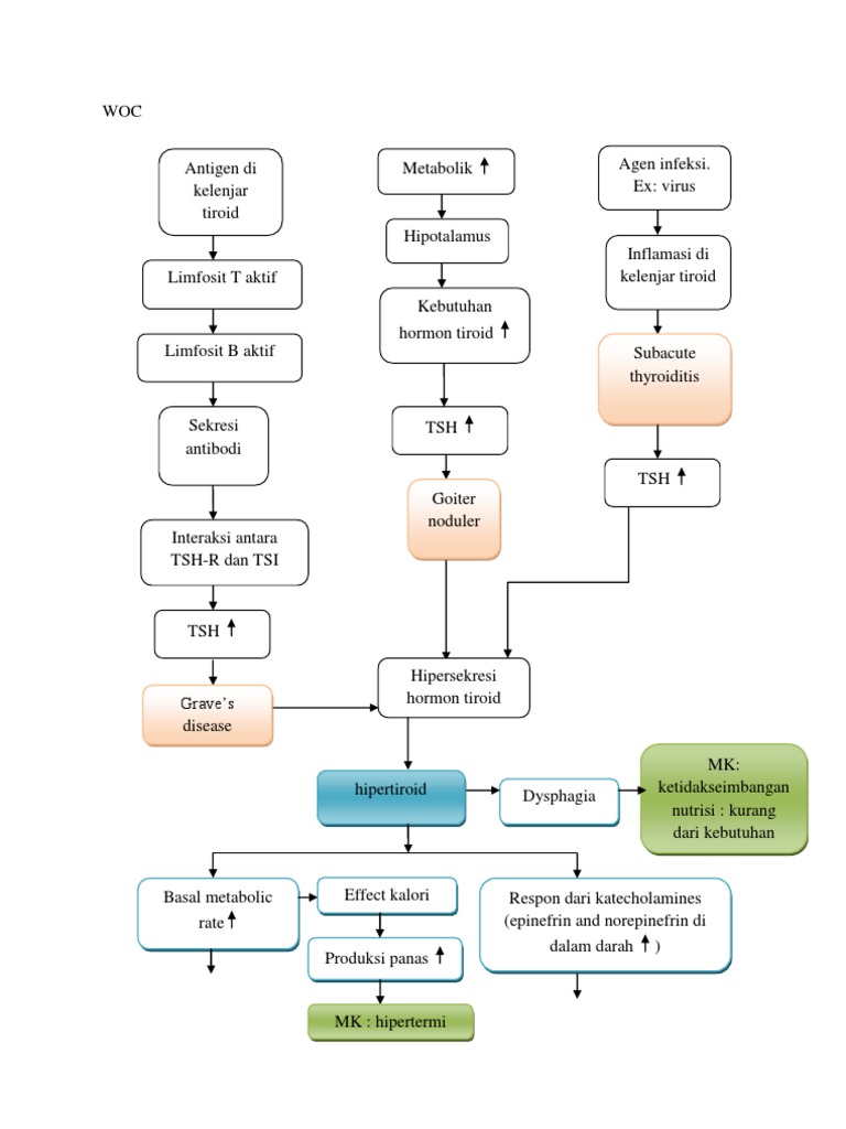 WOC Hipertiroid | PDF