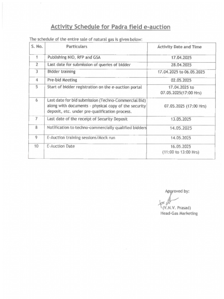 Activity Schedule | PDF