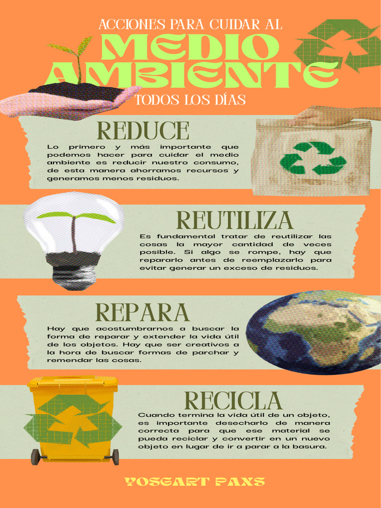 Infografía Cuidado Del Medio Ambiente Ecología Retro Collage Verde ...
