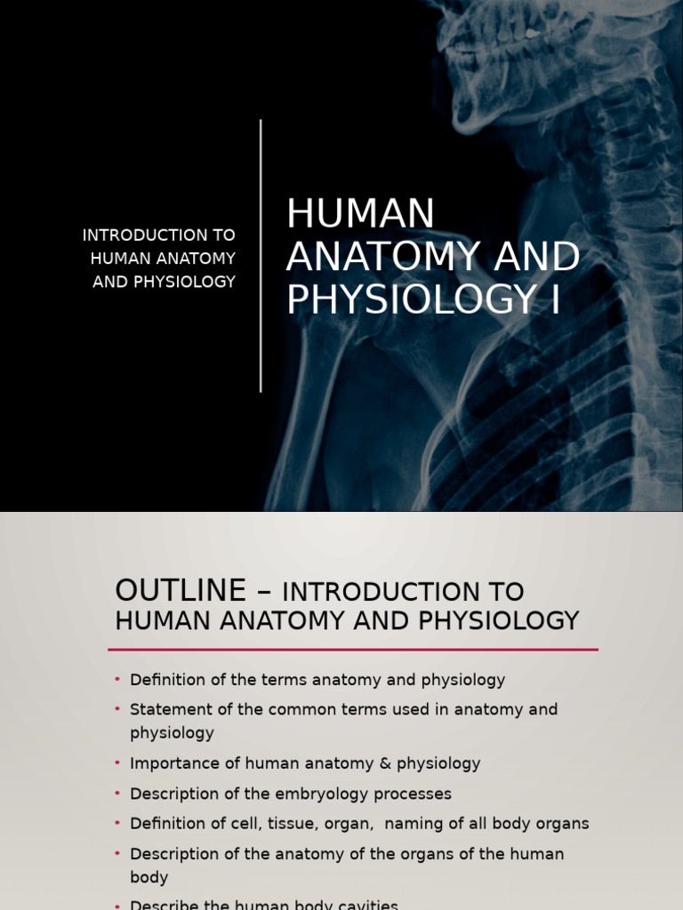 Introduction To Human Anatomy and Physiology 1 | PDF | Human Body | Anatomy