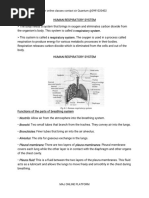Bell Jar Model of Breathing Mechanics | PDF | Breathing | Lung