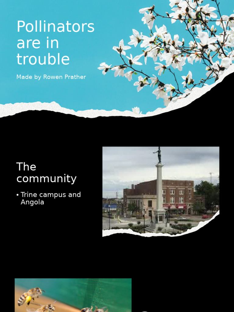 Pollinators Are in Trouble | PDF