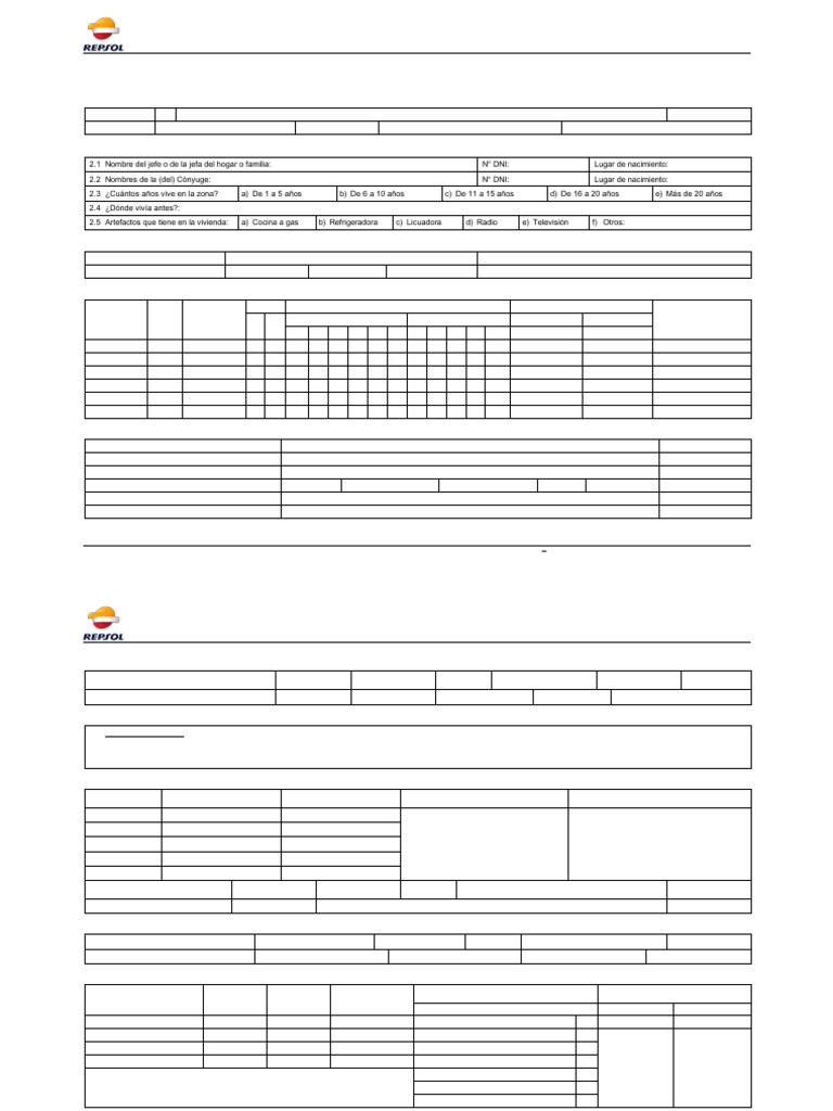 Encuesta Socioecon - Repsol | PDF