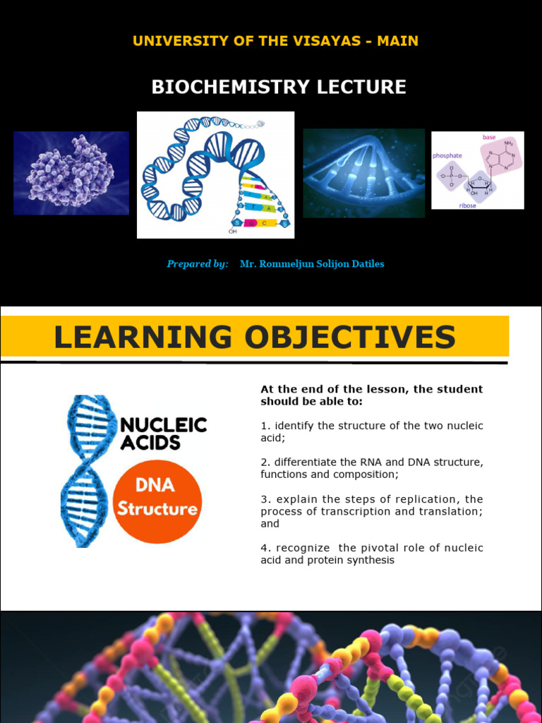 Understanding DNA and RNA Structures | PDF | Rna | Dna