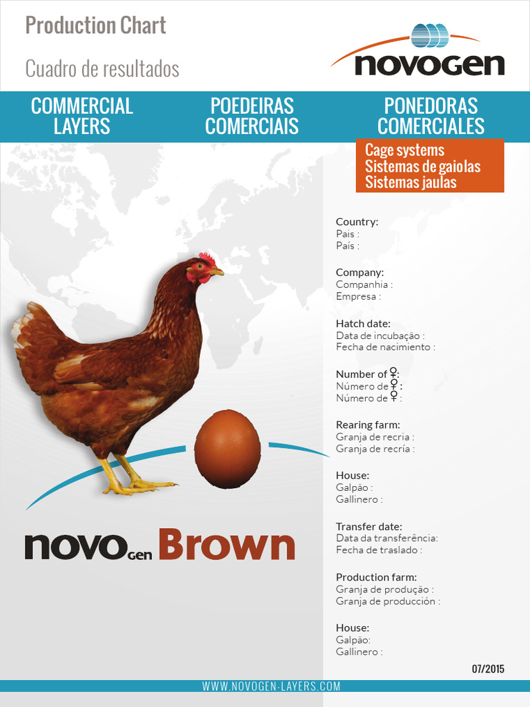 Normas de Produção Novogen Brown | PDF | Aves | Ornitologia