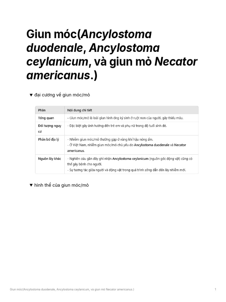 Giun móc (Ancylostoma duodenale, Ancylostoma ceylanicum, và giun mỏ ...