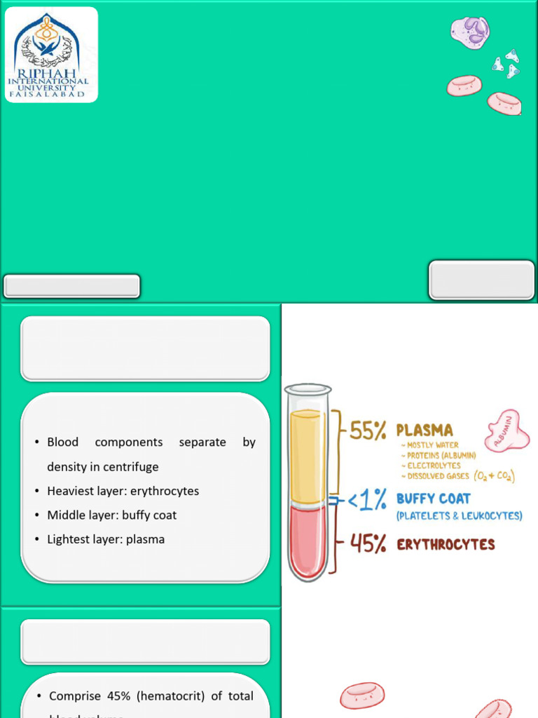 Blood Components | PDF