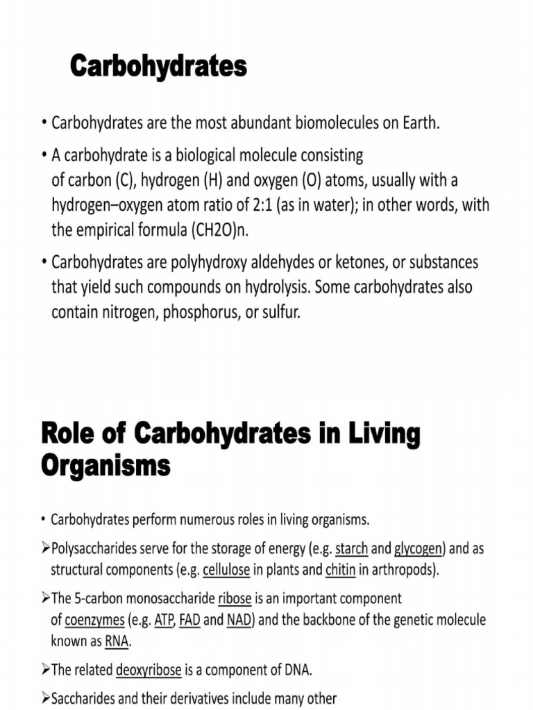 Carbohydrates Types | PDF