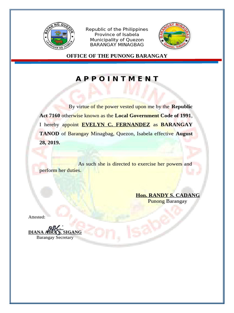 APPOINTMENT Tanod | PDF