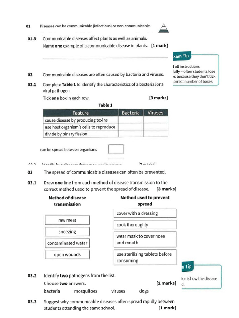 Exam Practice Questions | PDF