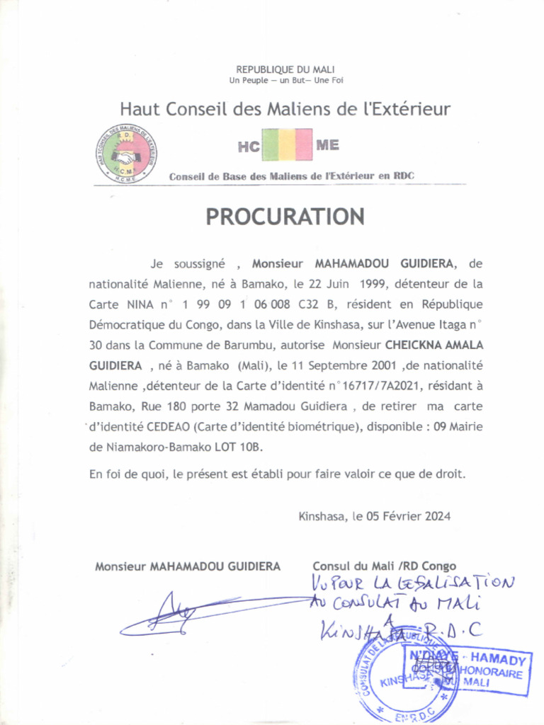 Copie de Copie de Cv Anglais | PDF