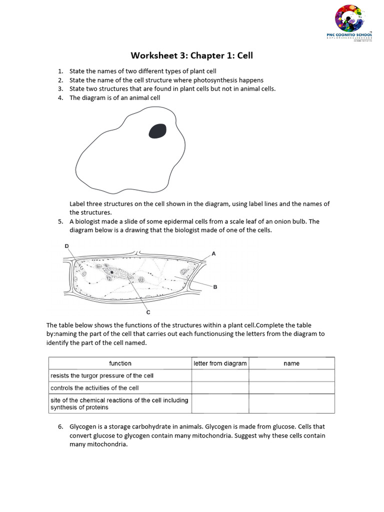 Worksheet 3 g6 | PDF