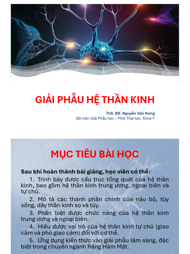 Giai_Phau_He_Than_Kinh - RHM | PDF