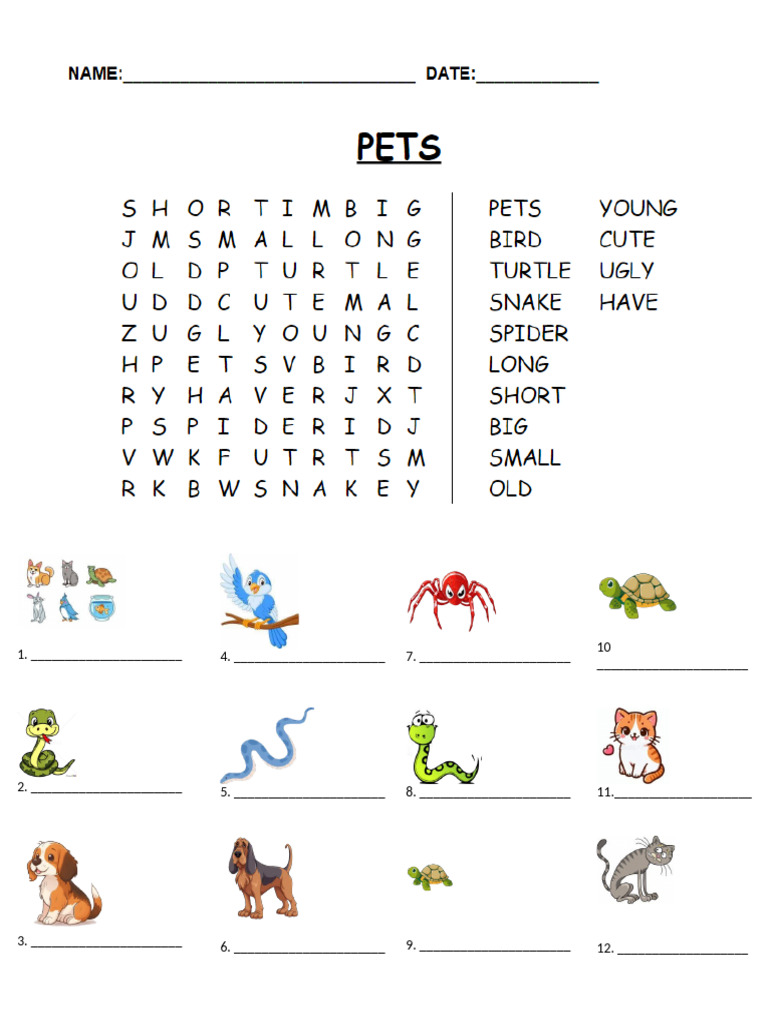 Words U5 6 - 9 B N | PDF