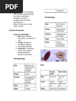 Favour Labels2 | PDF