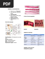 Immature Amphistomes and Pathogenesis | PDF