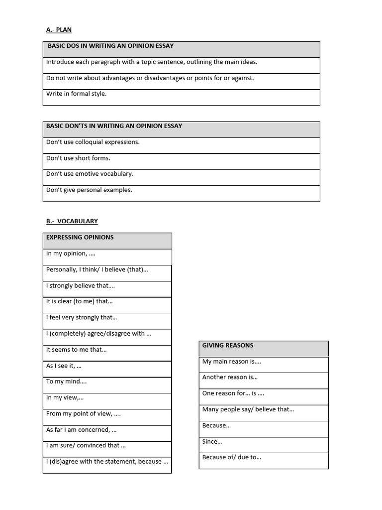 Opinion Essay - Useful Units | PDF