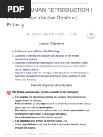 CAT PAT Phase 1 Research Guide | PDF | Citation | Note (Typography)