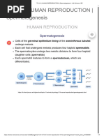 CAT PAT Phase 1 Research Guide | PDF | Citation | Note (Typography)